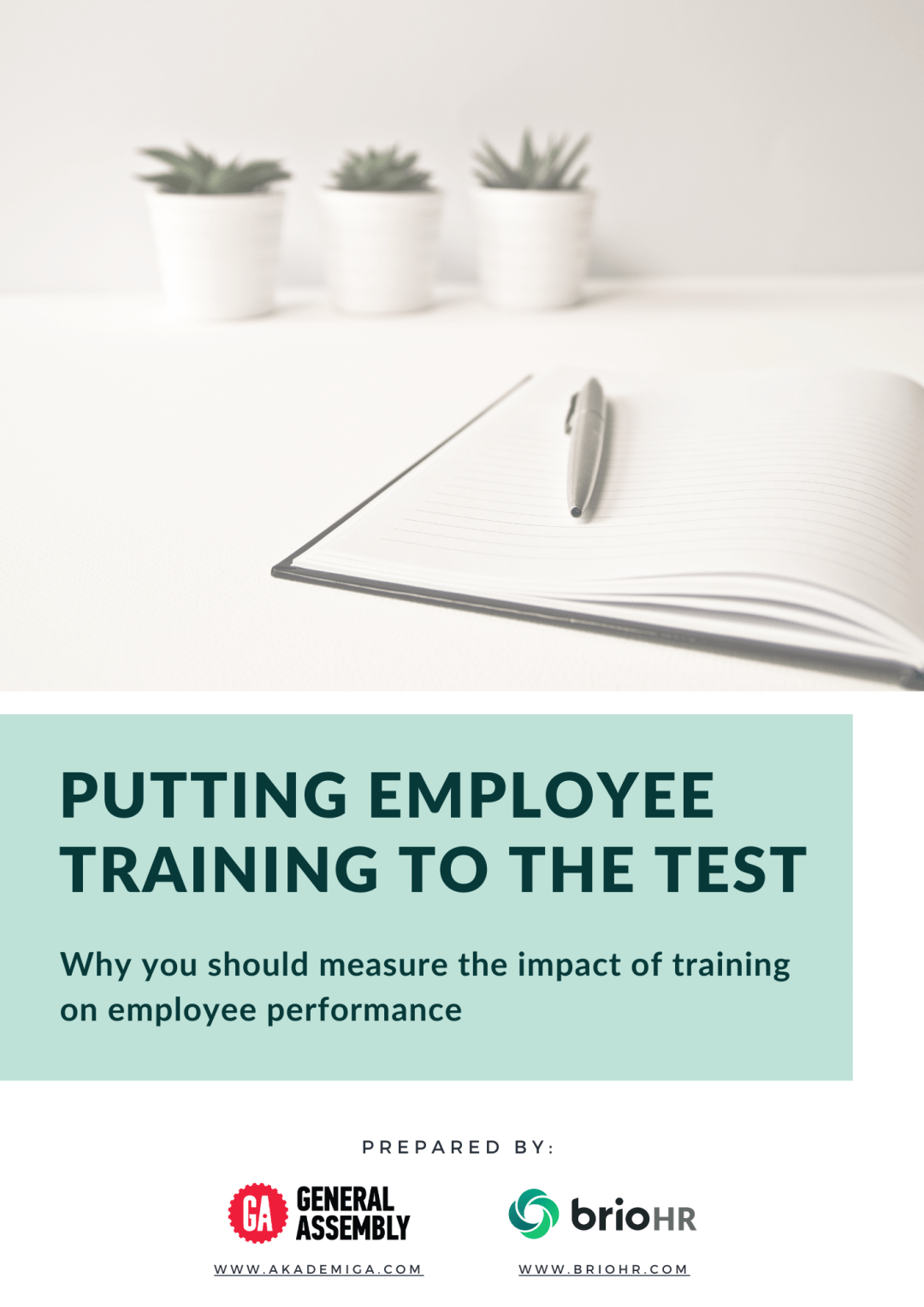Putting Employee Training To The Test | BrioHR Free Ebooks